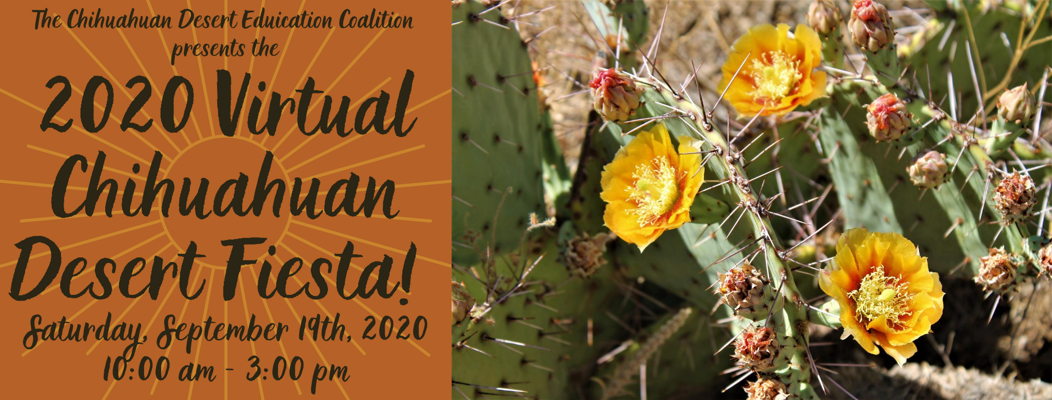 Fiesta Facebook Cover – Chihuahuan Desert Education Coalition