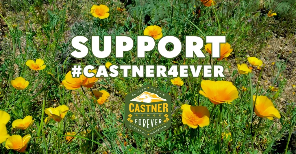 Biodiversity of the Castner Range, a delicate balance – Chihuahuan ...