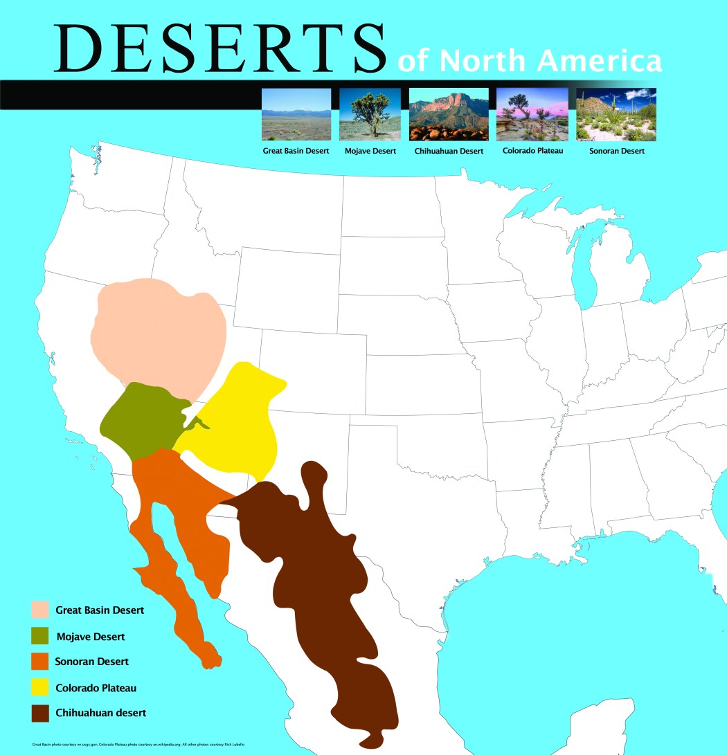 Landscape with Native Plants – Chihuahuan Desert Education Coalition